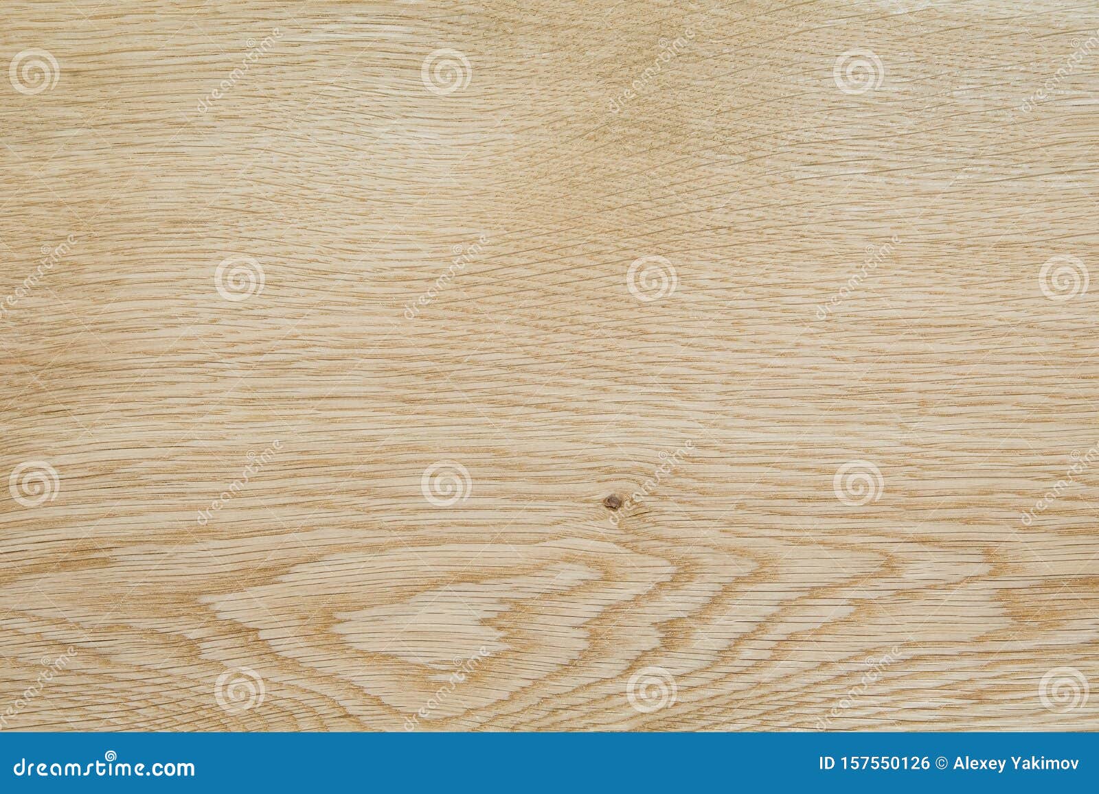 Natural Light Oak Wood Texture for Background. Close-up Stock Photo ...