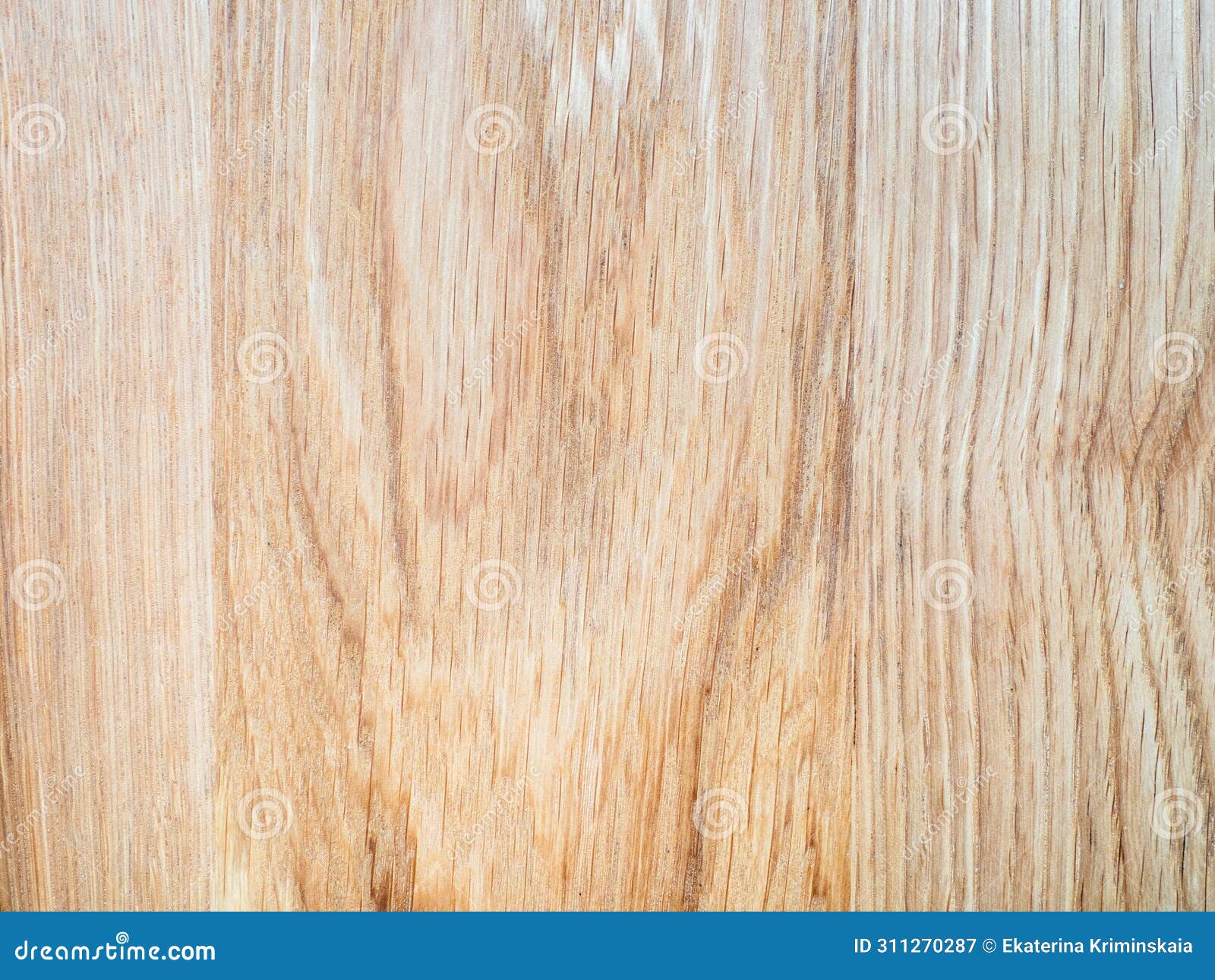 Background from Natural Oak Wood Close Up Stock Image - Image of wooden ...
