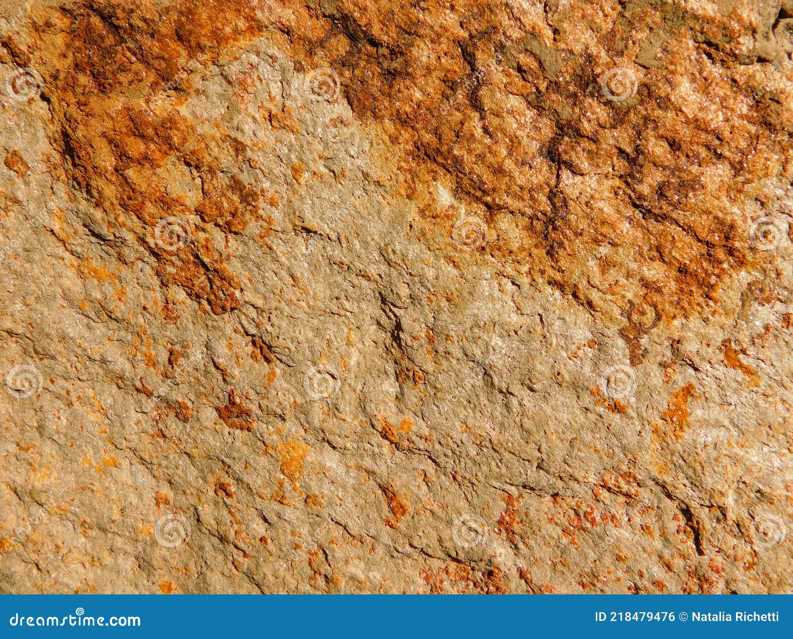 Background Natural Rock Texture Stock Photo - Image of terrain, trunk ...