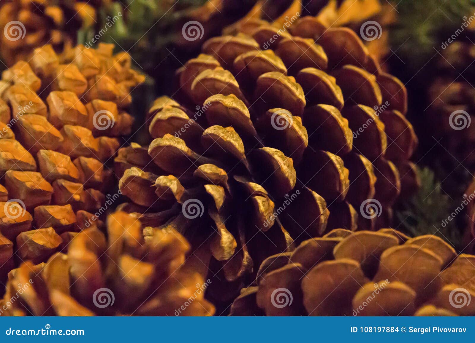 Background Natural Rustic Texture Pine Cone Base Design Eco Postcard ...