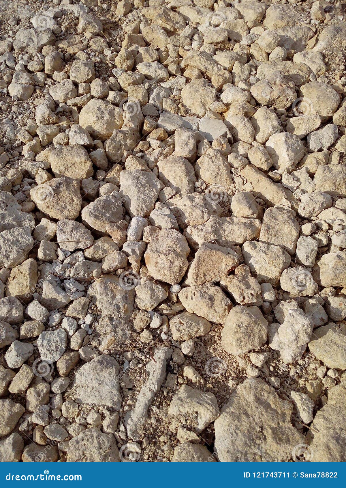 Background of Natural Stones Shell Rock. the Shore is Covered with ...