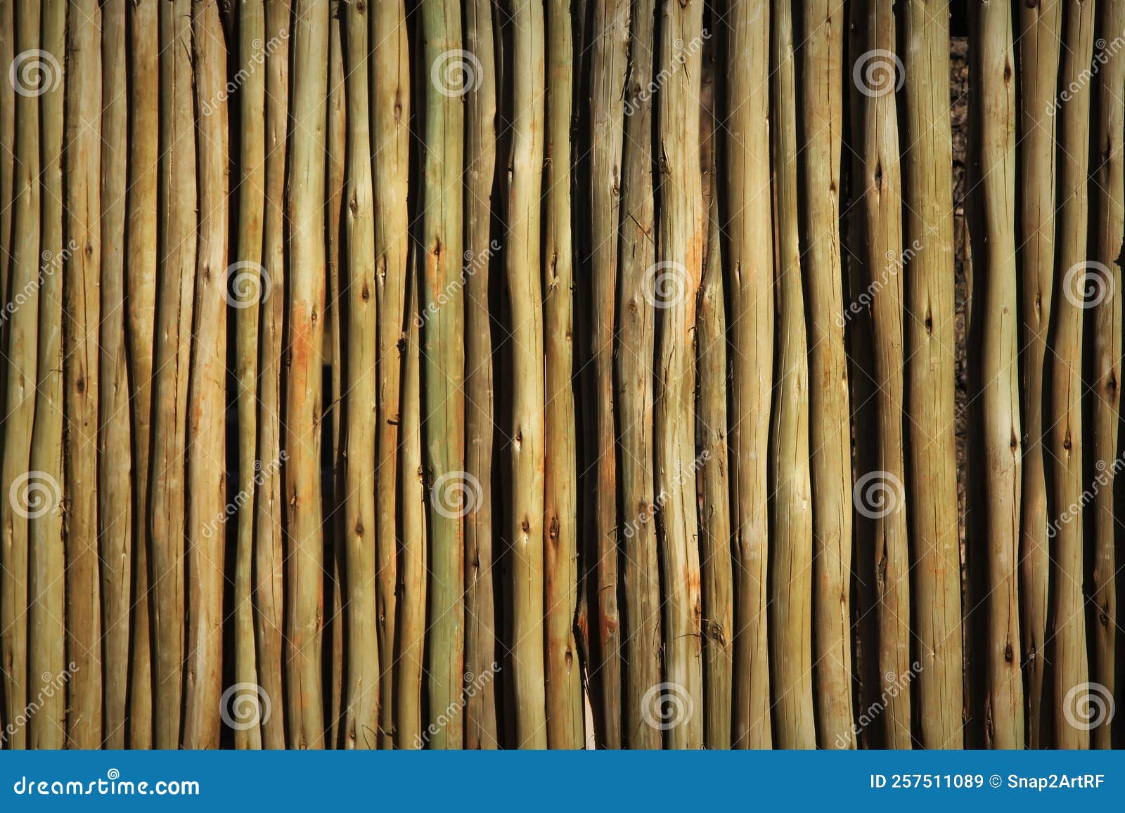 Background Natural Stripped Wood Poles Stock Image - Image of flora ...