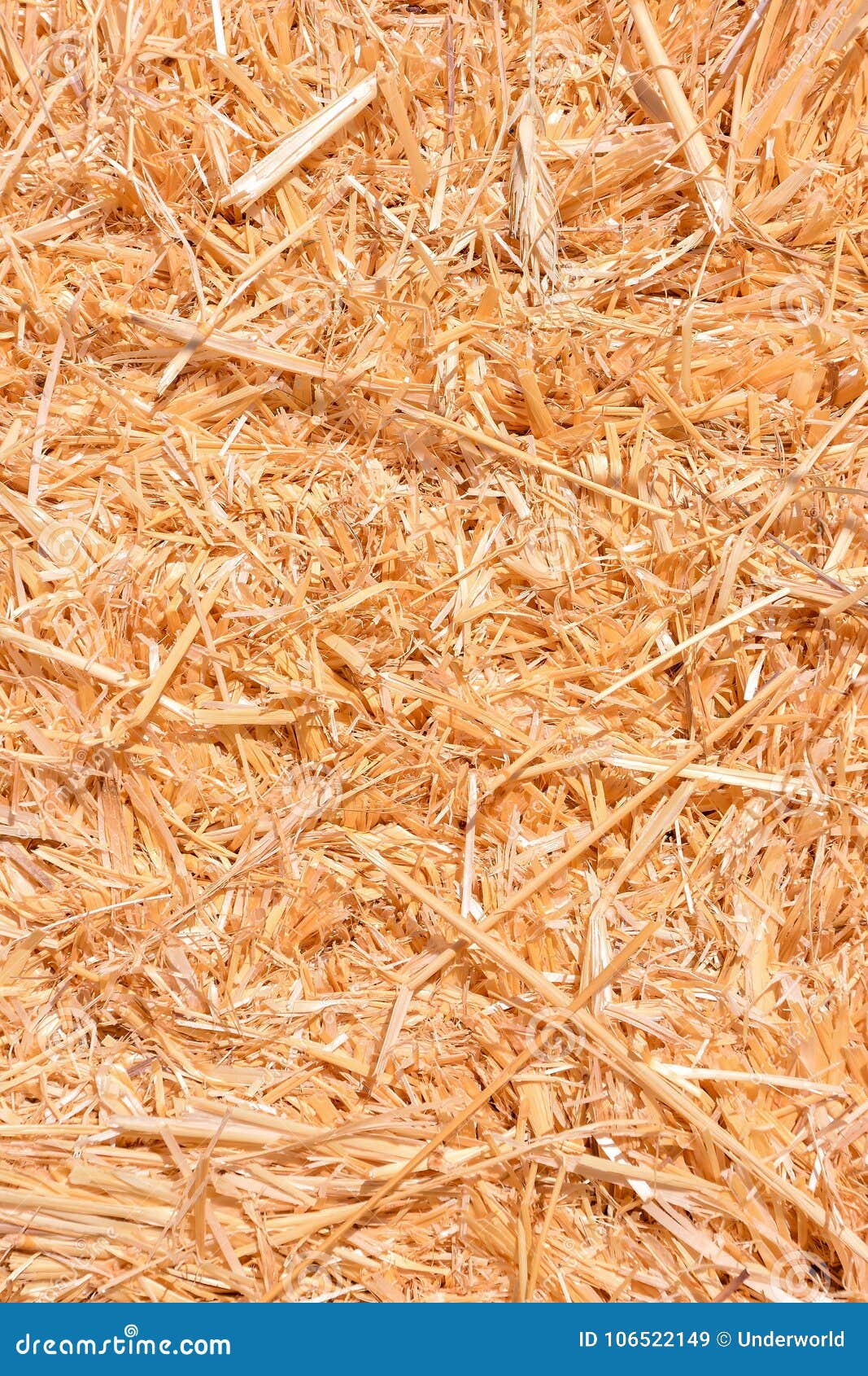 Background the Natural Texture of Dry Straw Stock Image - Image of farm ...