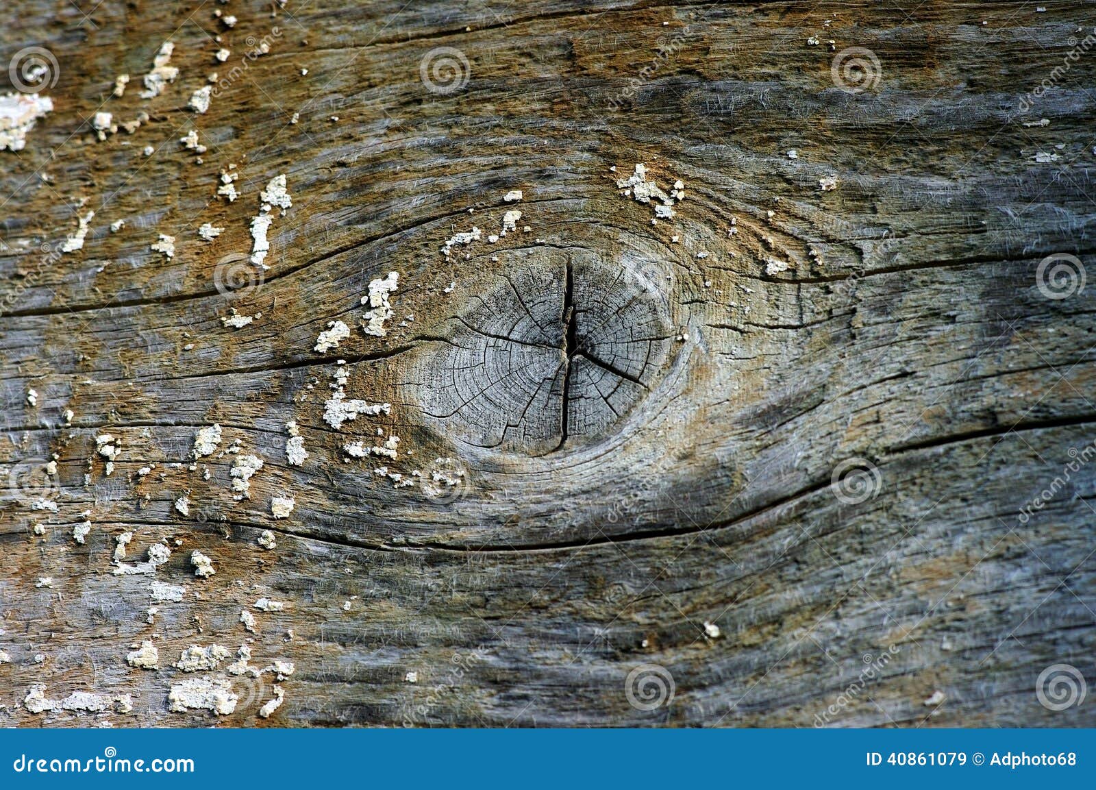 Background with Natural Timber Structure Stock Image - Image of ...