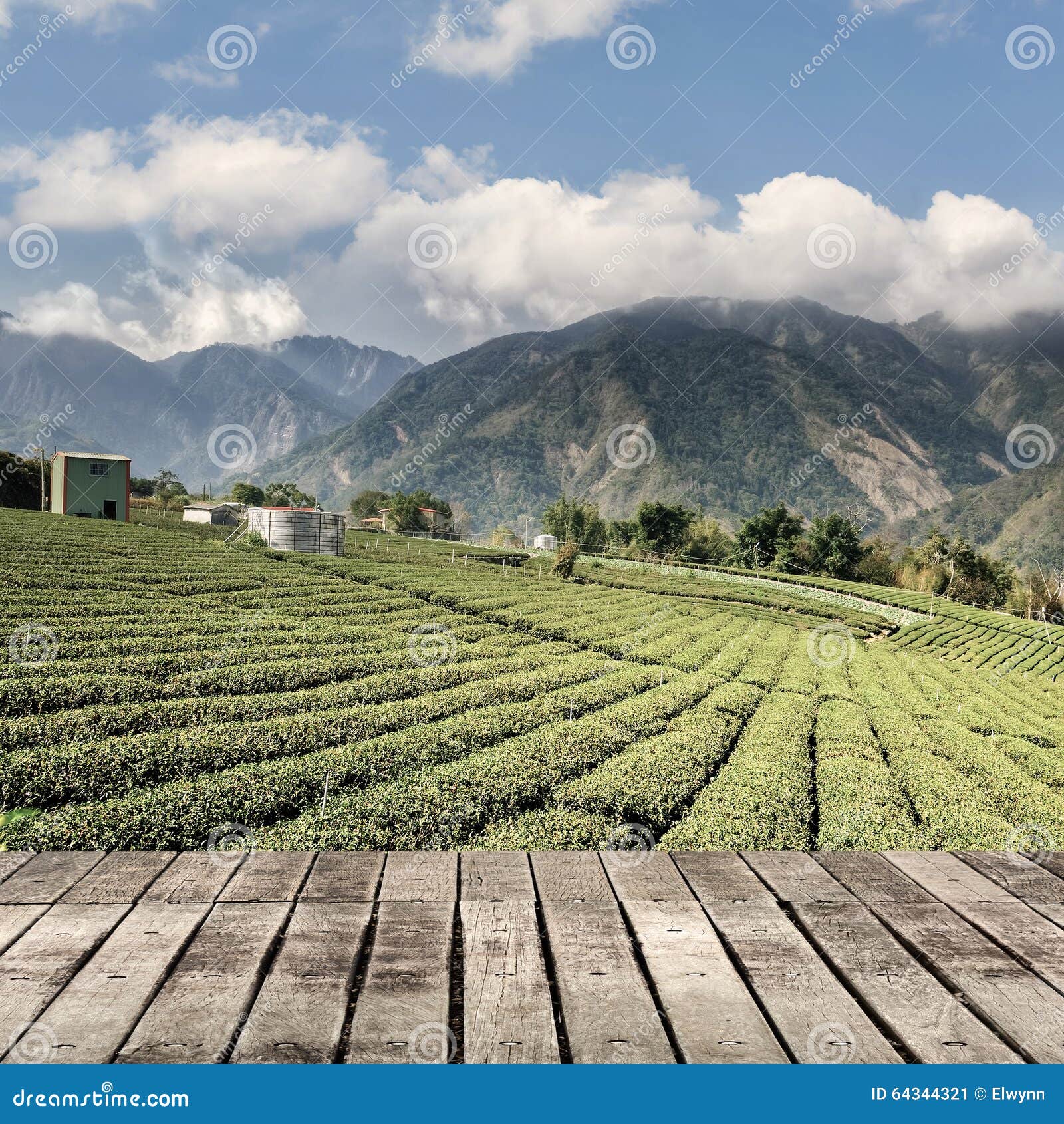 Background of Nature Scenery Stock Image - Image of ground, backdrop ...