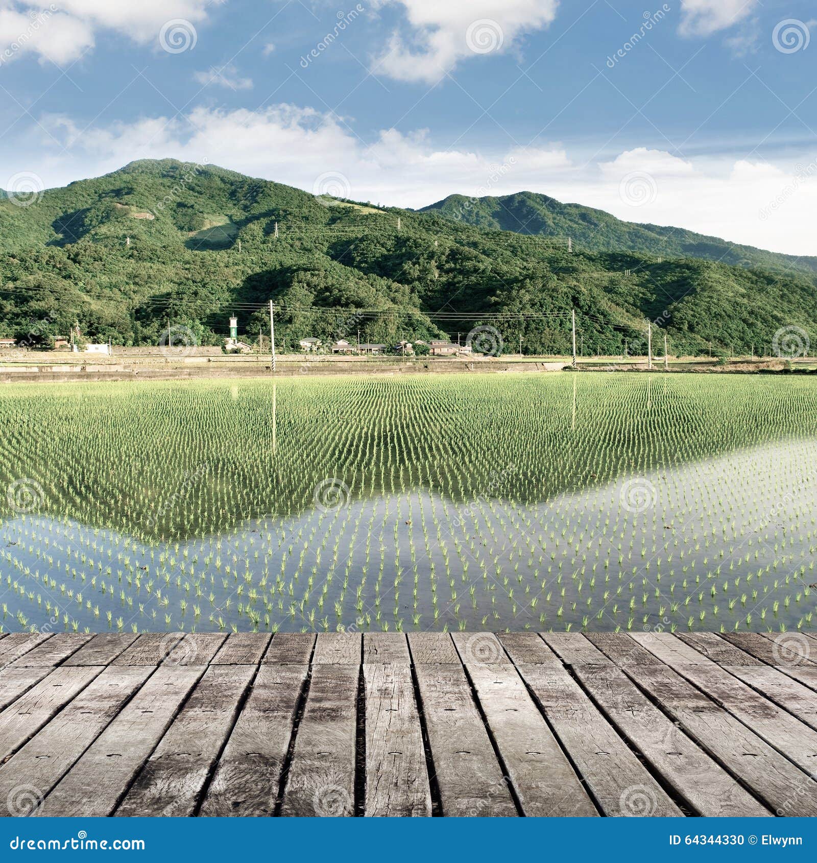 Background of Nature Scenery Stock Photo - Image of display, natural ...