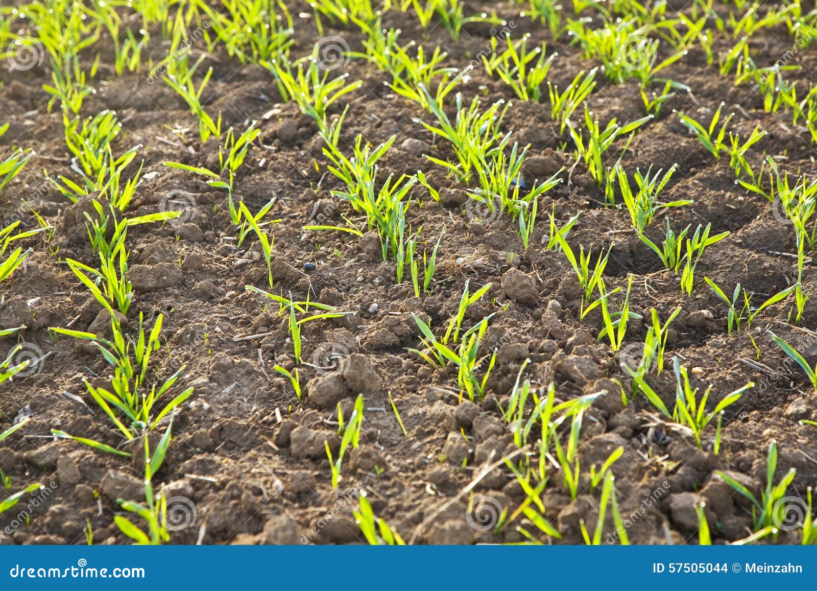 Background of Newly Plowed Field Stock Photo - Image of cultivation ...