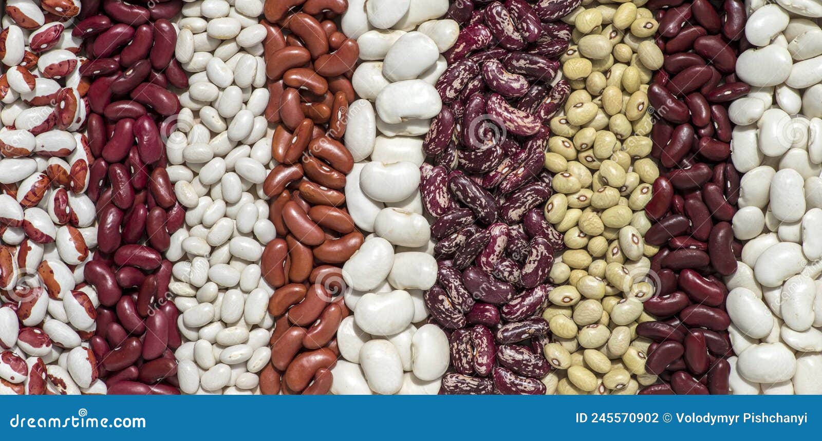 Varieties Beans Shape In Wording Bean On Wooden Board Royalty-Free ...