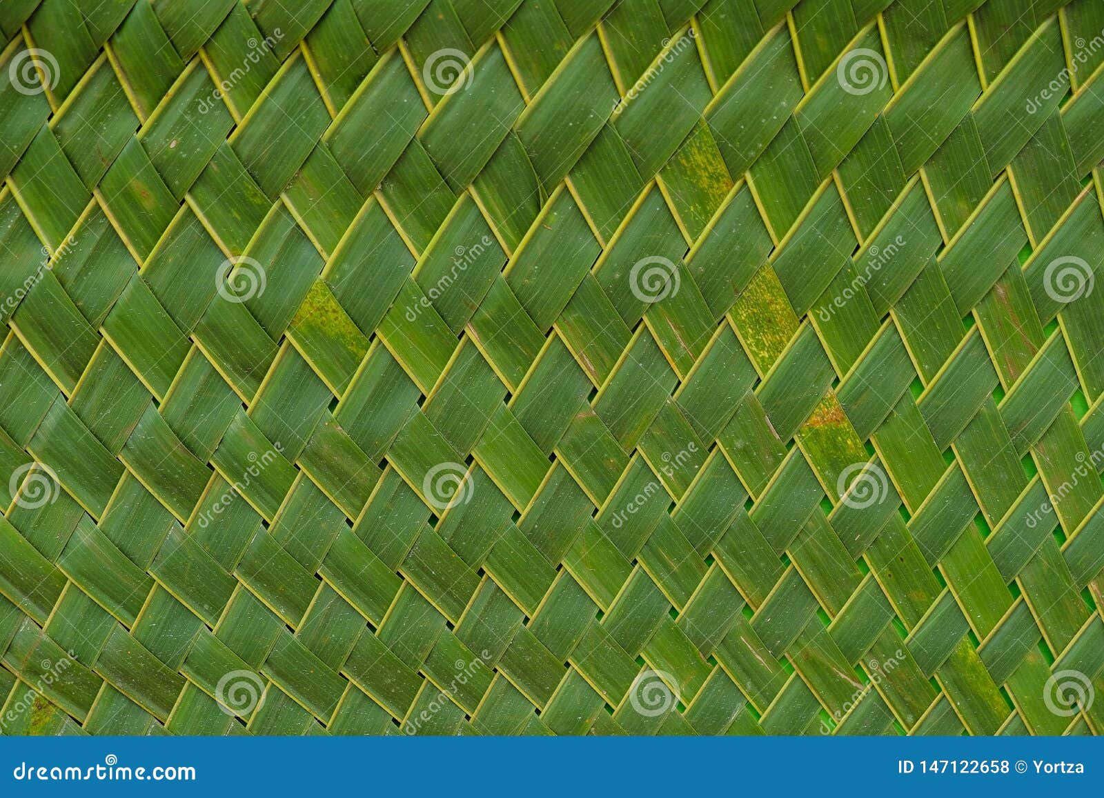 Pattern Of Nipa Palm Royalty-Free Stock Photography | CartoonDealer.com ...