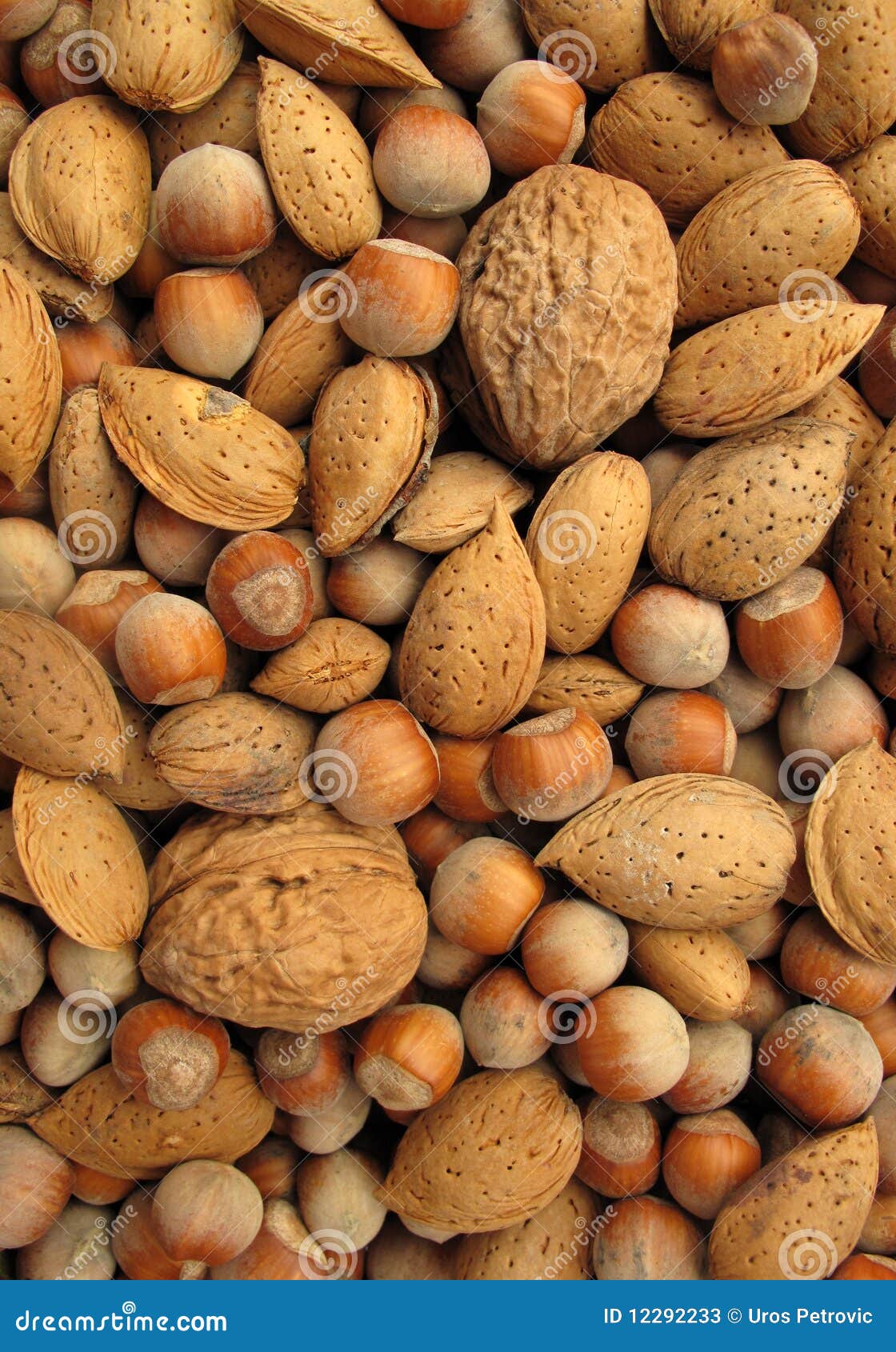 Background of nuts stock image. Image of fruit, ripe - 12292233