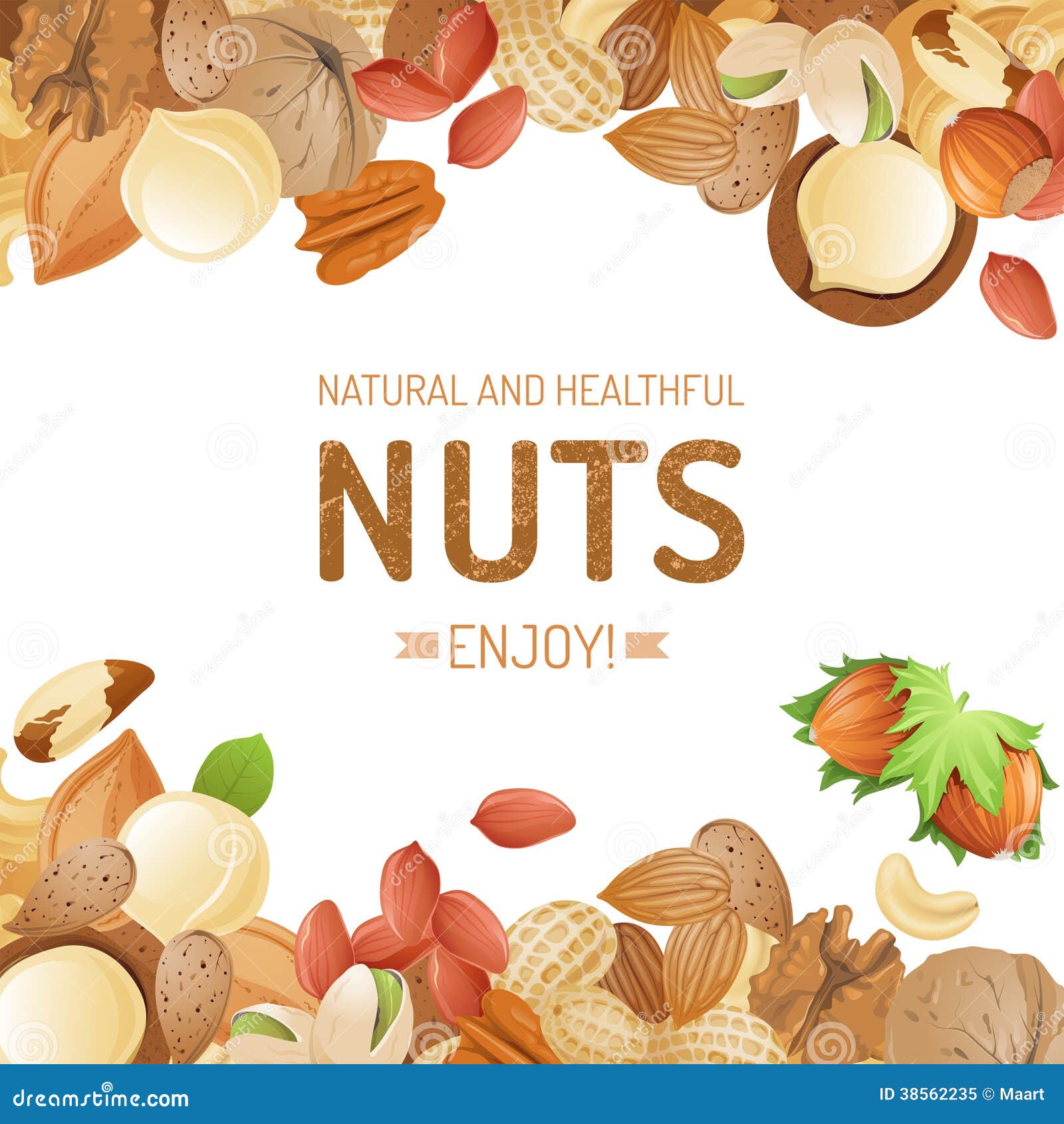 Background with nuts stock vector. Illustration of drawing - 38562235