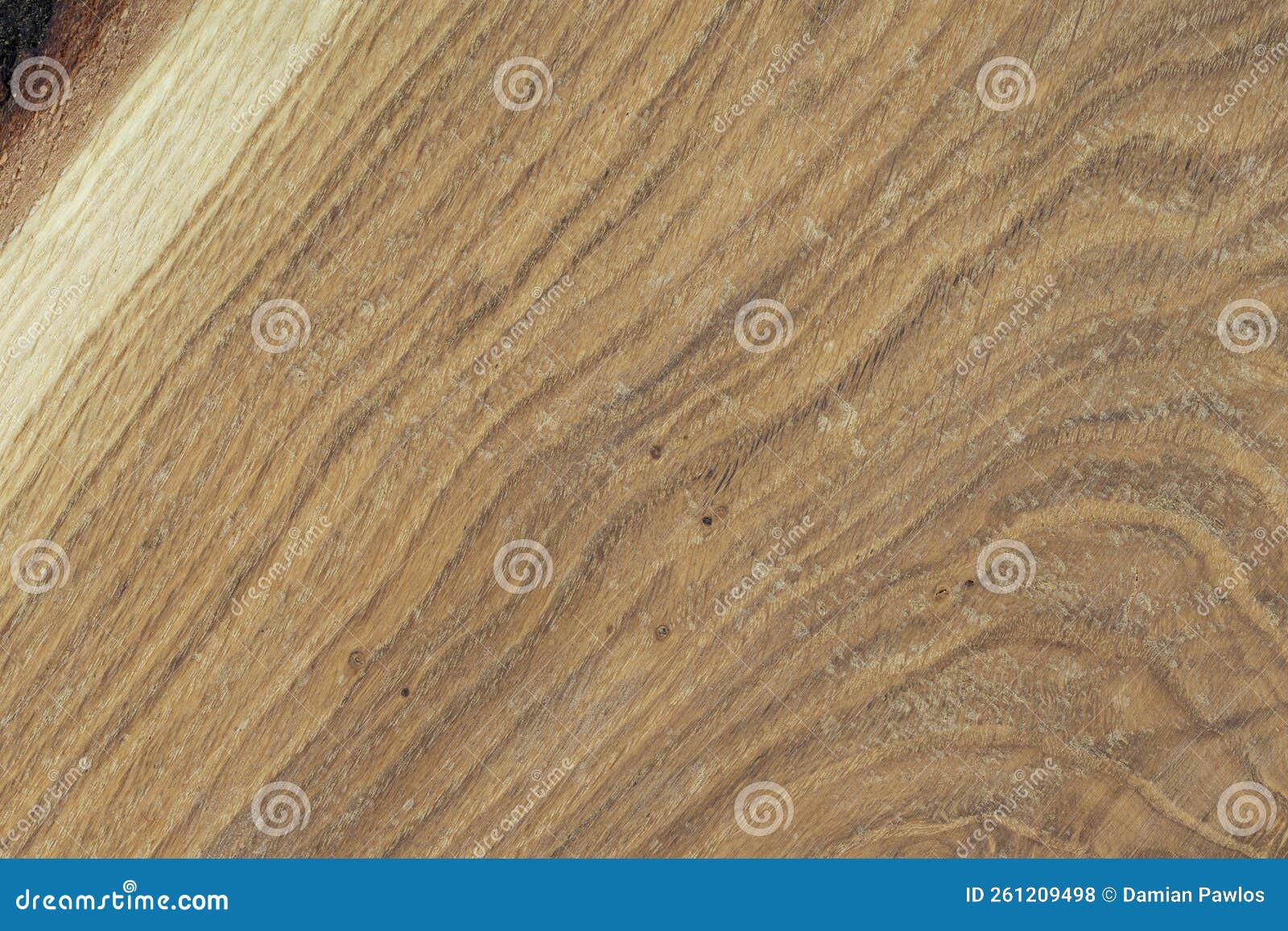 Background of the Oak Wood Surface. Natural Pattern. Wood Layers Stock ...