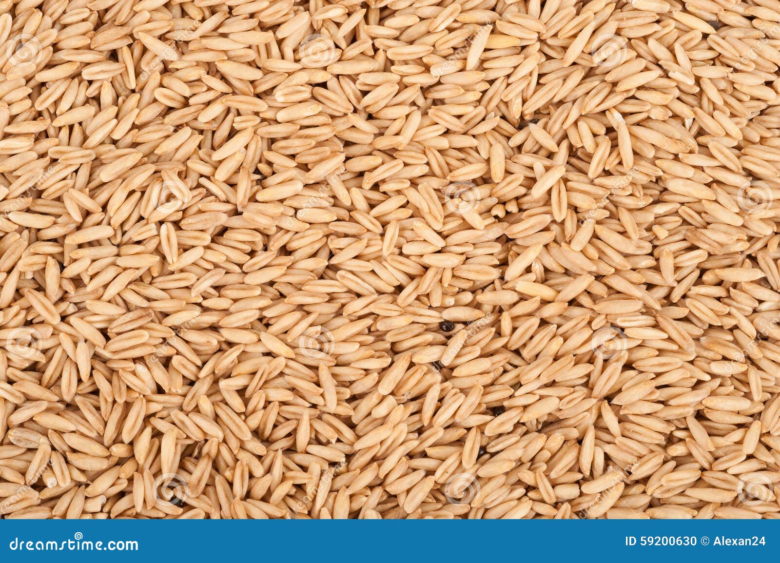 Background oats stock photo. Image of healthy, season - 59200630