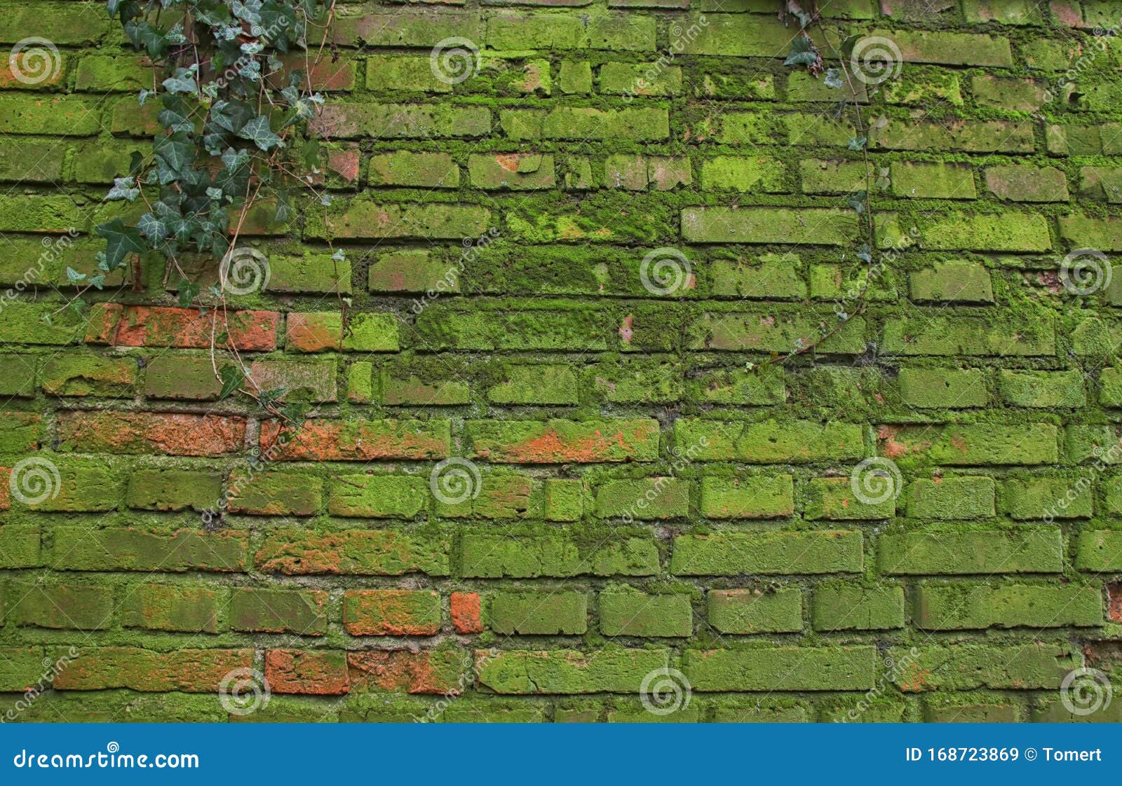 Background of Old Brick Wall Covered with Moss Stock Image - Image of ...