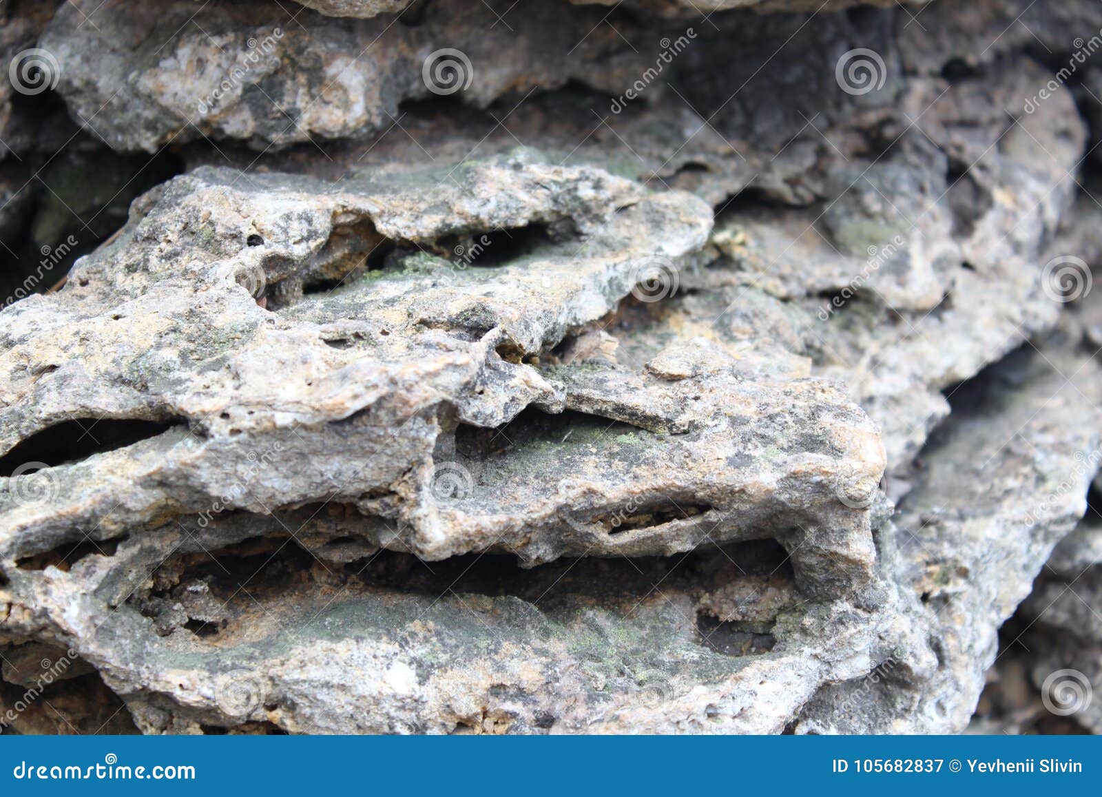 Background of Old Limestone Stock Image - Image of organic, abstract ...