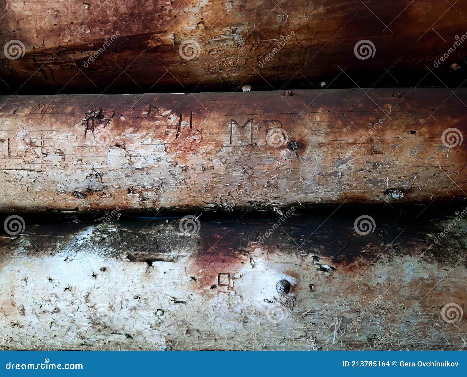 Background with Old Logs with Inscriptions. Logs Rotted from Old Age ...
