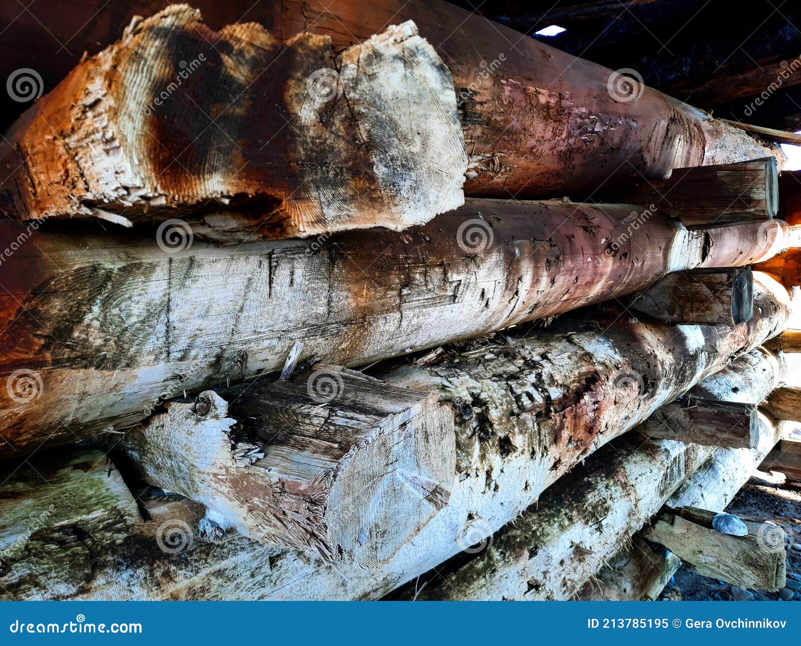 Background with Old Logs with Inscriptions. Logs Rotted from Old Age ...