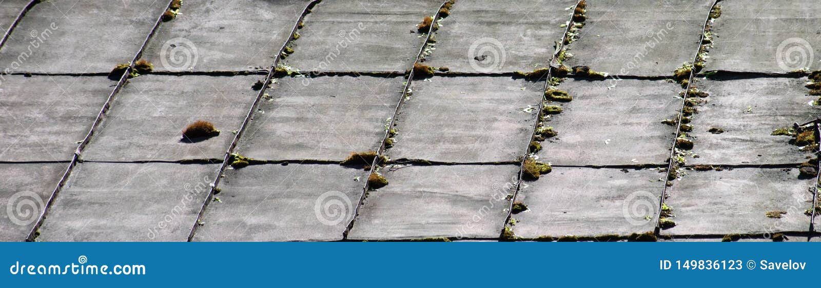 Background from an Old Metal Rectangular Mossy Roof Stock Image - Image ...
