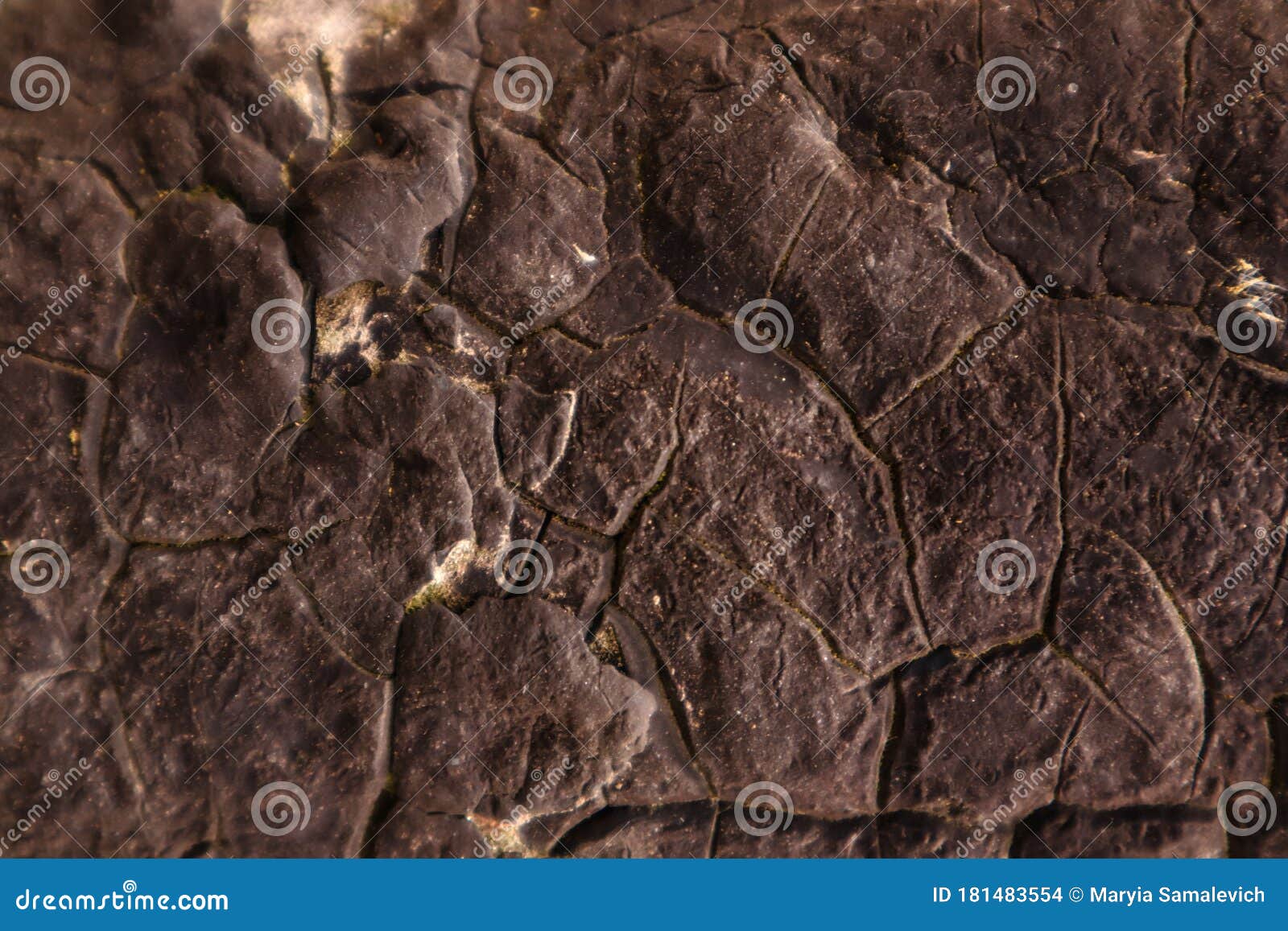 Molten Tar Texture Photos - Free & Royalty-Free Stock Photos from ...