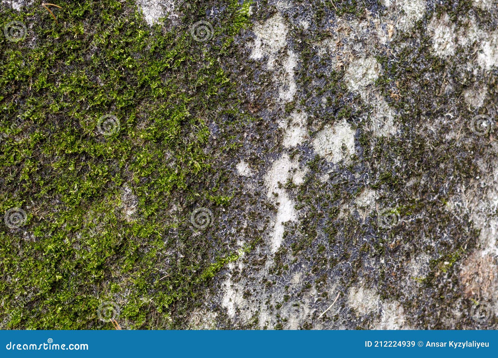 Background, Old Moss Covered Concrete Slab Stock Image - Image of ...
