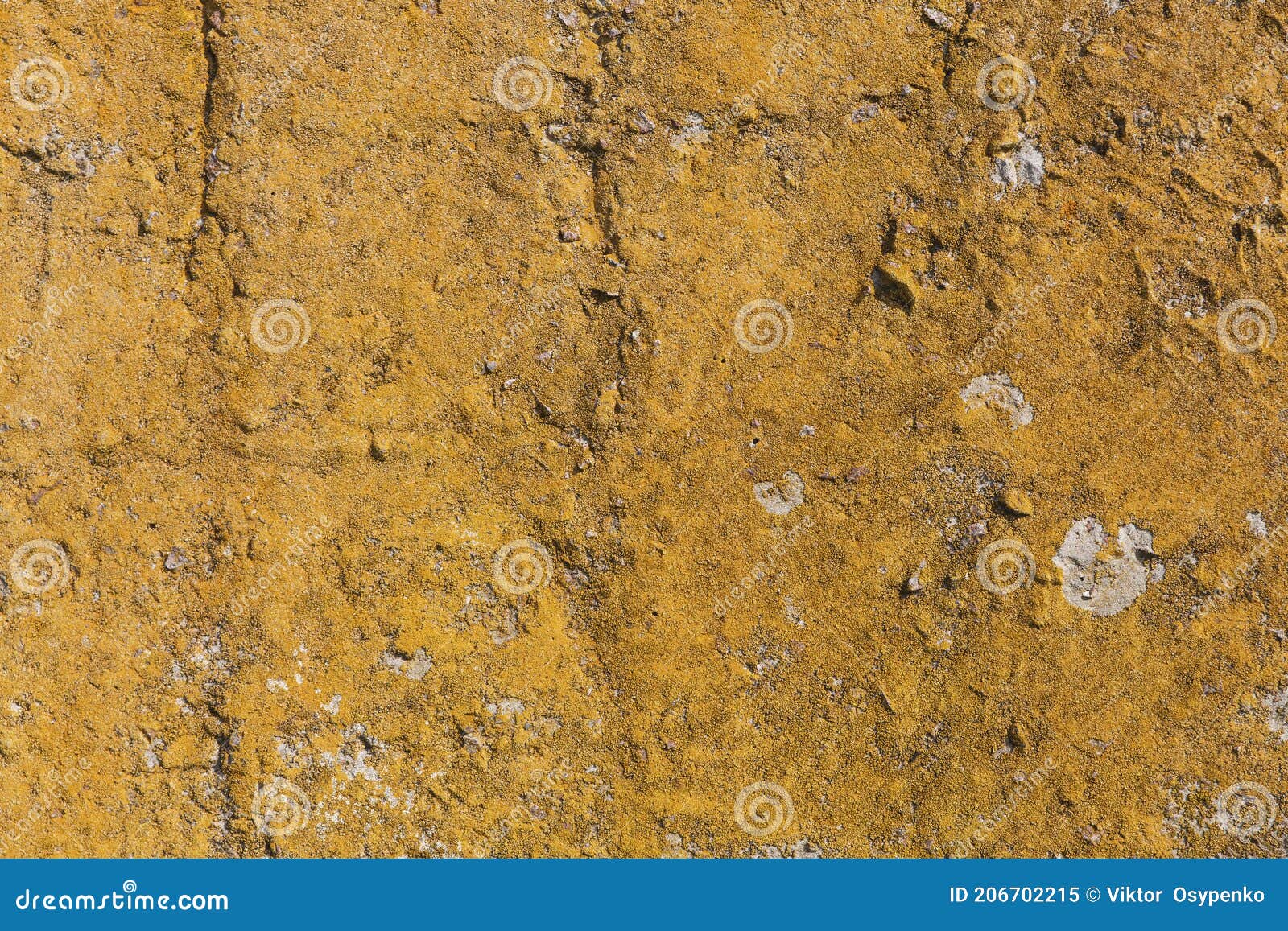 Background of Old Rough Concrete Wall with Yellowed Moss Stock Image ...