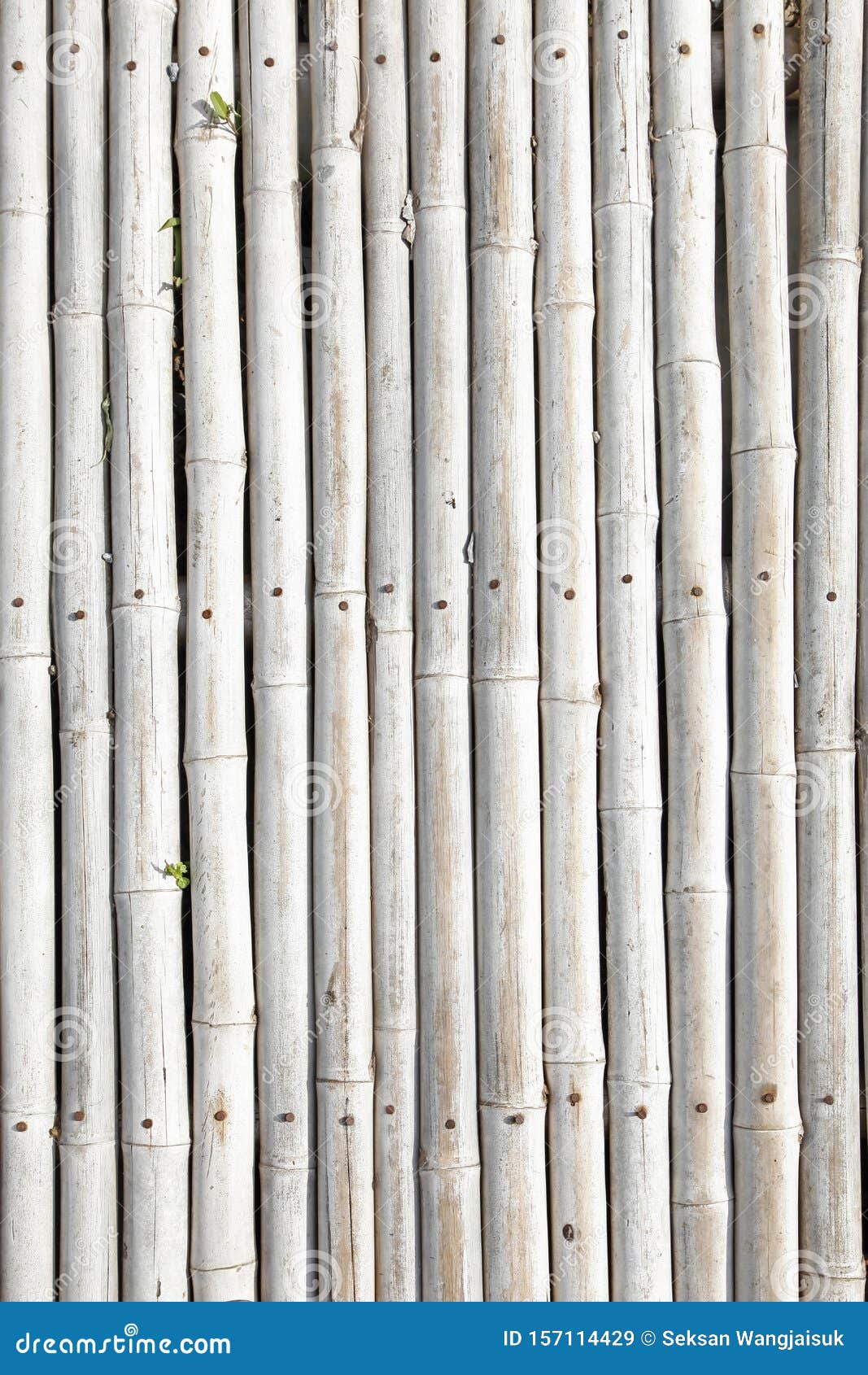 Background from Old Rustic Bamboo Fence Stock Image - Image of fence ...