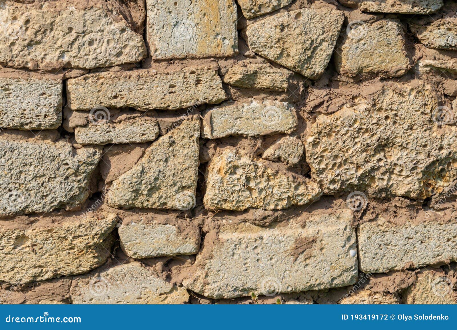 Background of Old Shell Rock Block Wall Stock Photo - Image of closeup ...