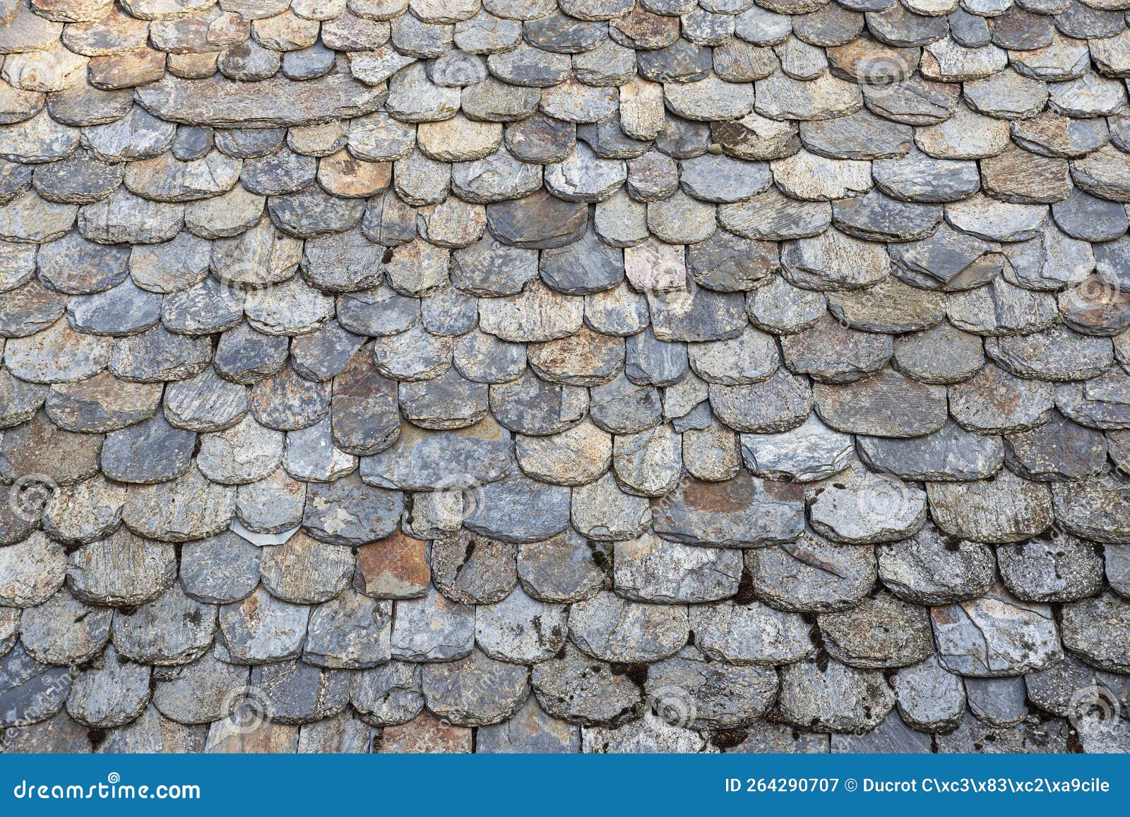 Background of old tiles stock image. Image of rustic - 264290707