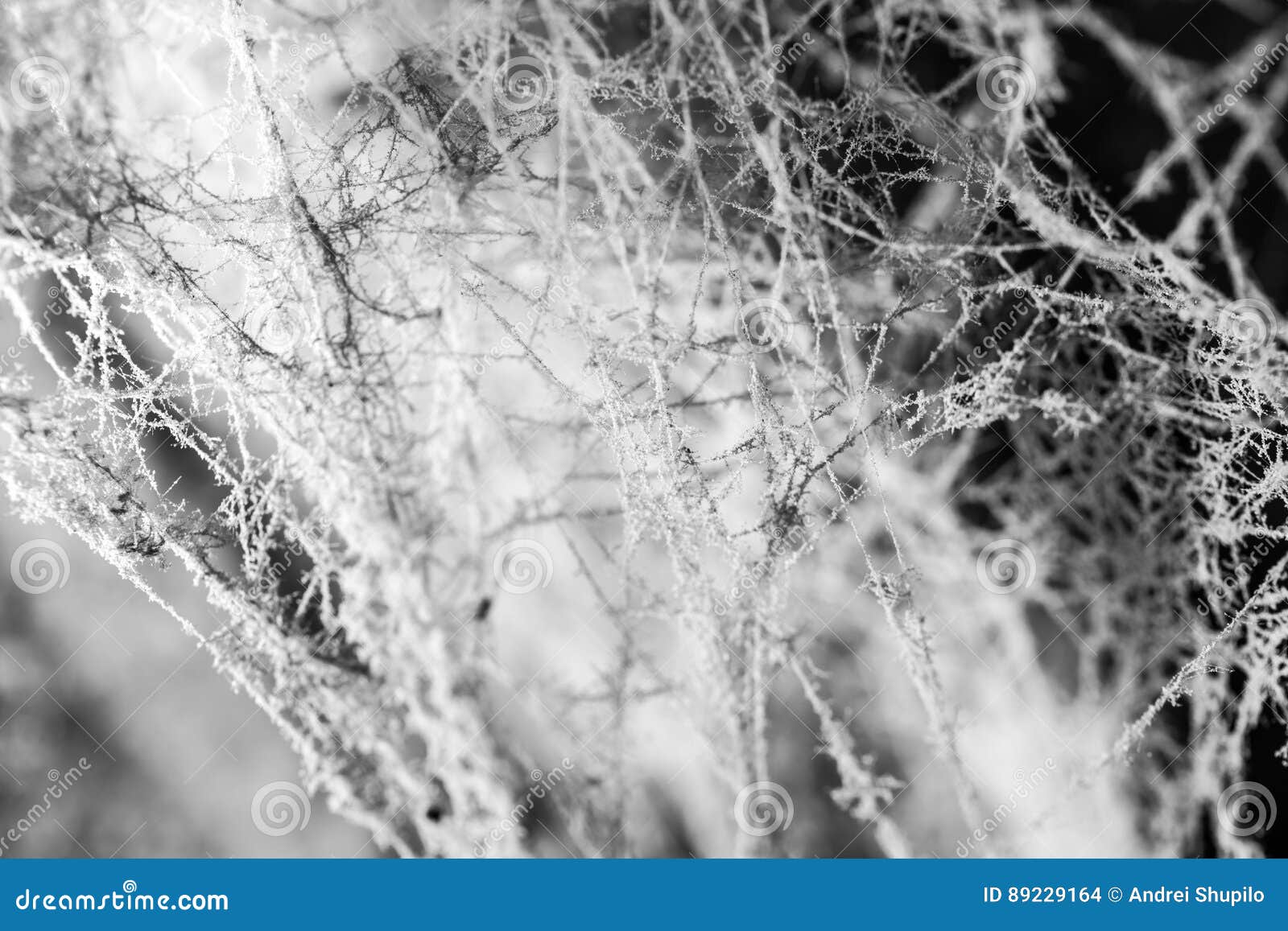 Background from the Old Web Stock Photo - Image of meshes, cobweb: 89229164