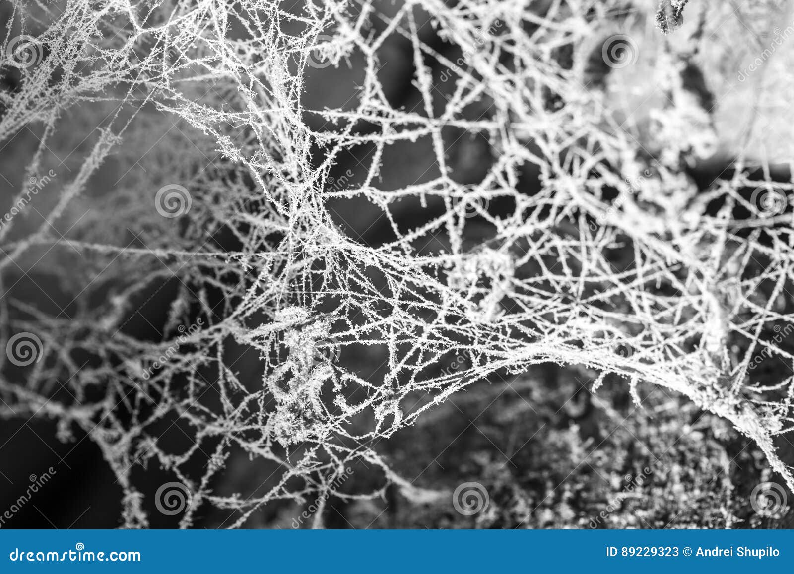 Background from the Old Web Stock Image - Image of fear, grunge: 89229323