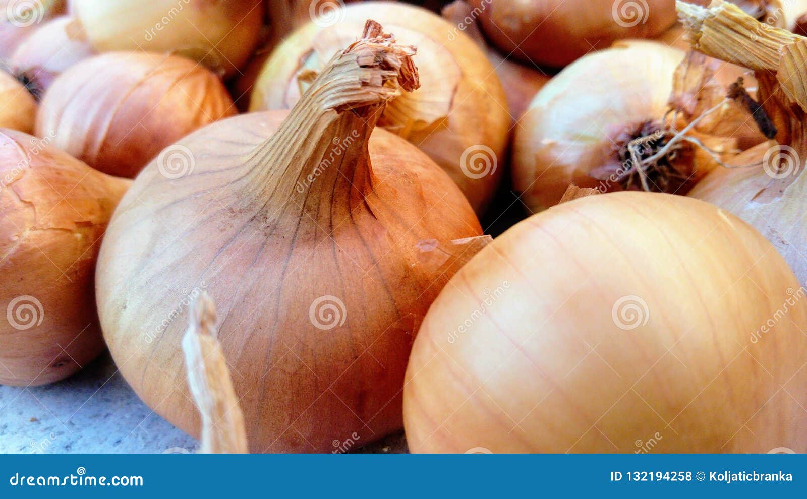 Background of onion stock photo. Image of decoration - 132194258