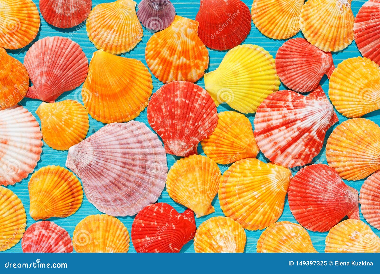 Background from Orange End Red Seashells on a Blue Table Stock Image ...