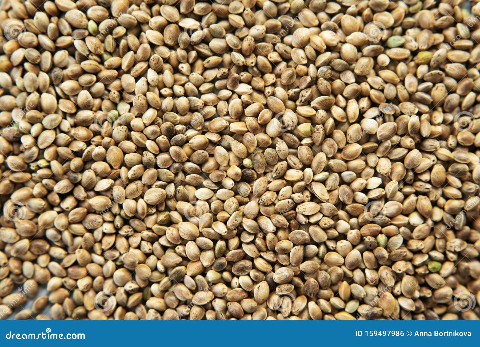 Background of Organic Dried Hemp Seeds Stock Photo - Image of organic ...