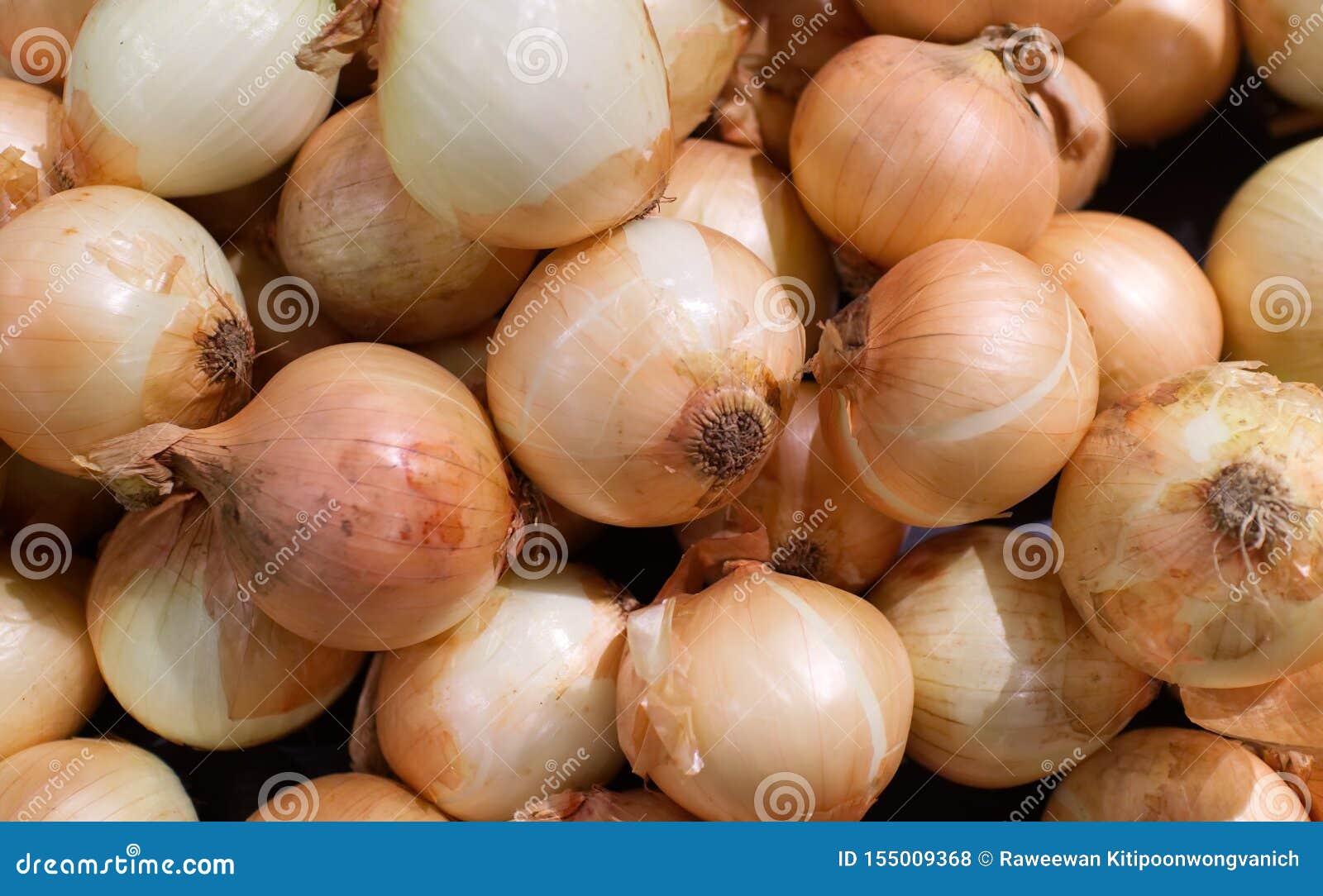 Background of Organic Onions. Use for Backdrop or Design Stock Photo ...