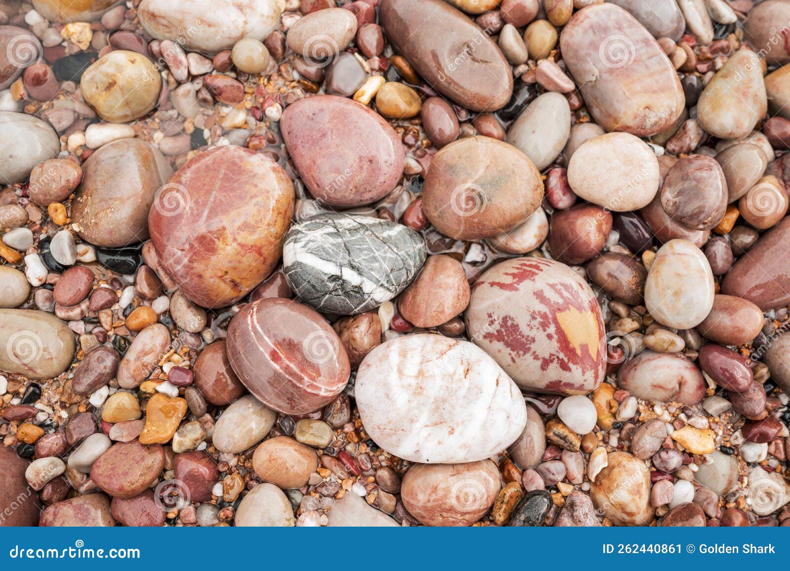 Background of a Pabbles on the Beach Stock Image - Image of nature ...