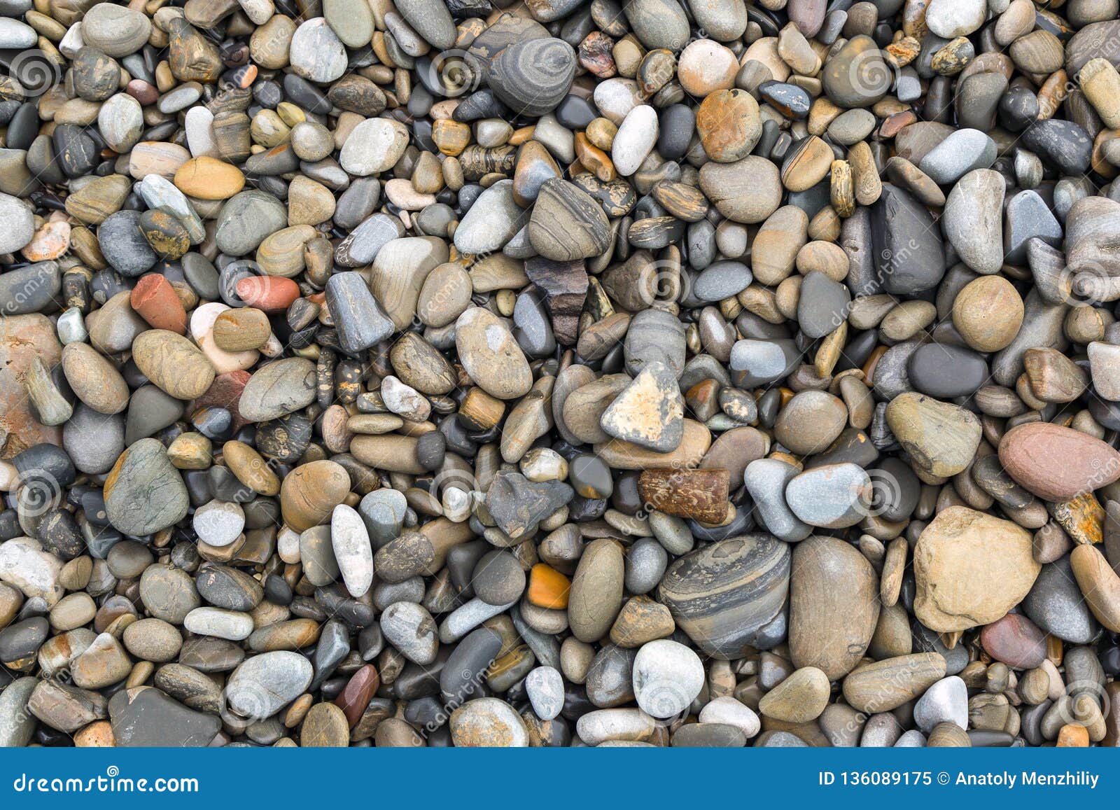 Background of Pabbles on the Shore of Black Sea. Stock Image - Image of ...