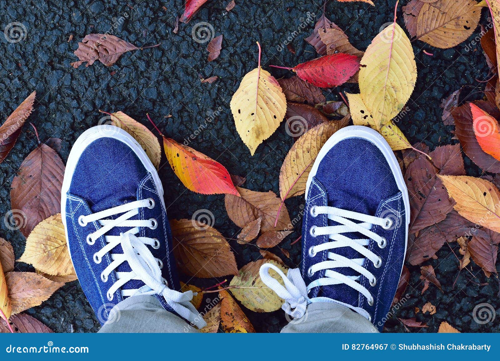 Background Pair of Blue Canvas Shoes with Fallen Autumn Leaves Stock ...