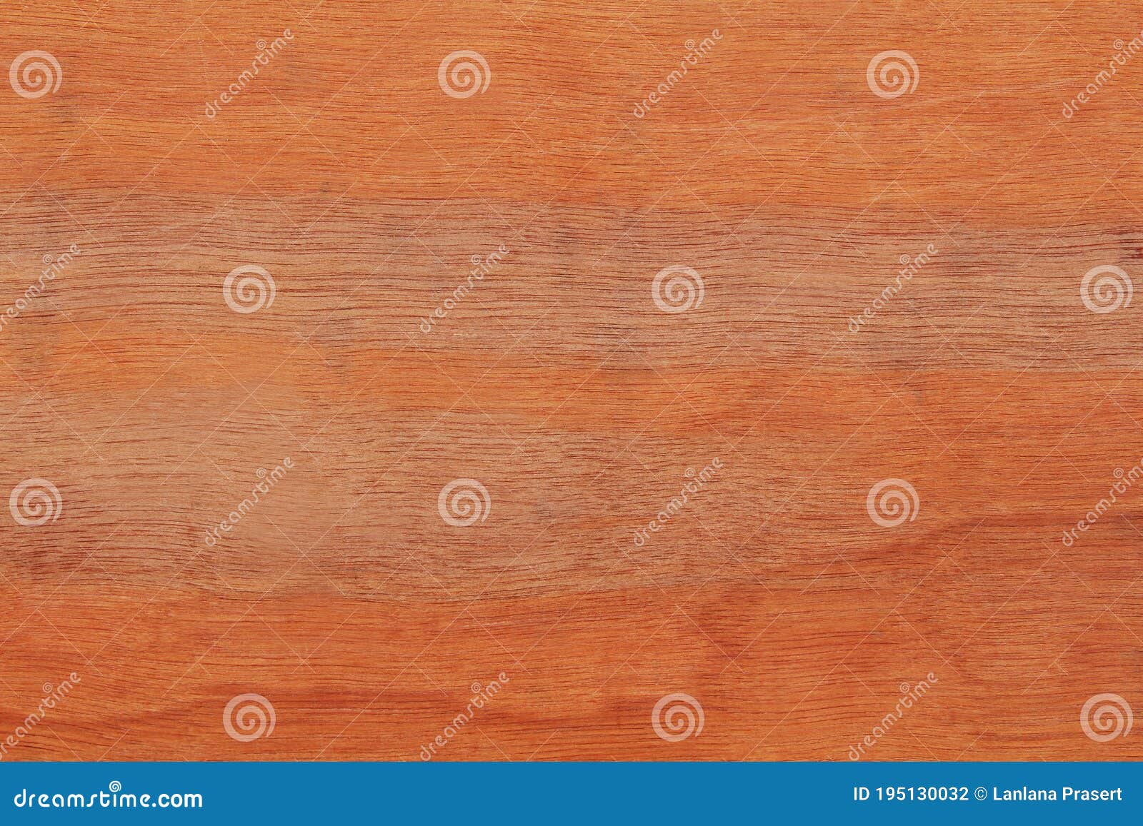 Background Panel with Teak Ply Wood Stock Photo - Image of board ...