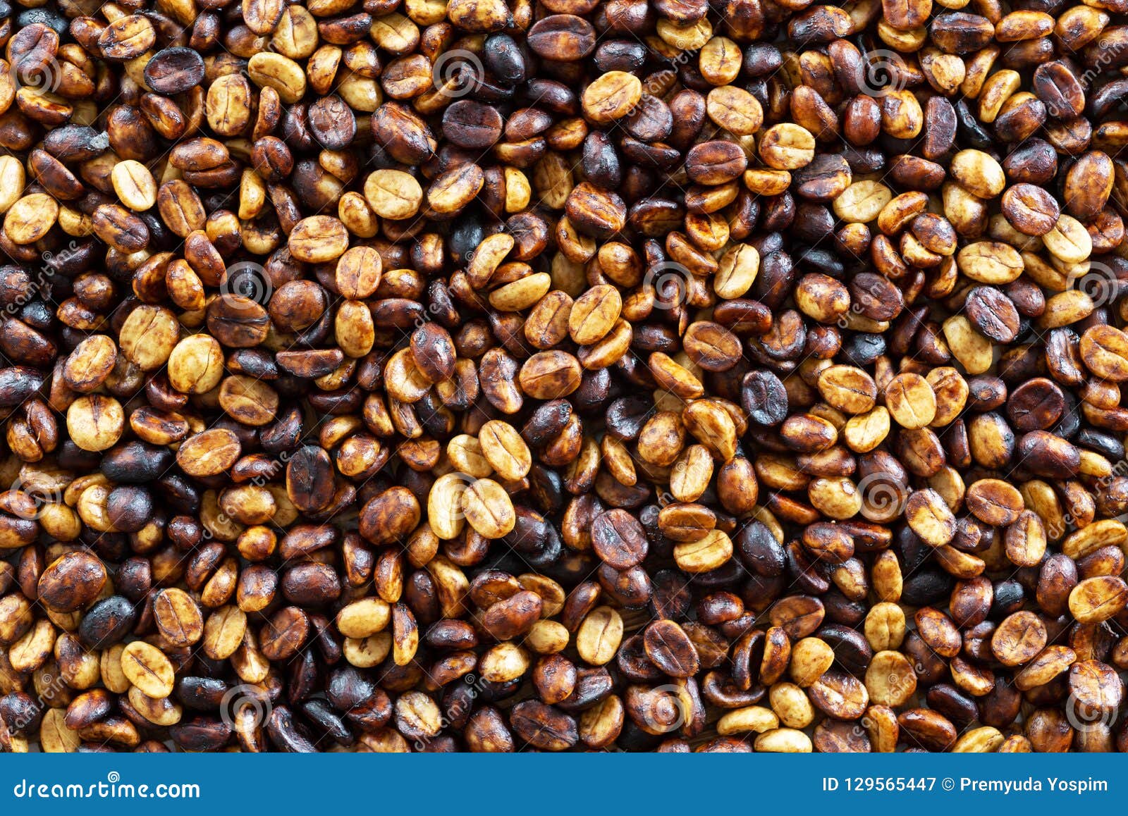 Parchment Coffee Black Honey Processed Stock Image - Image of brown ...