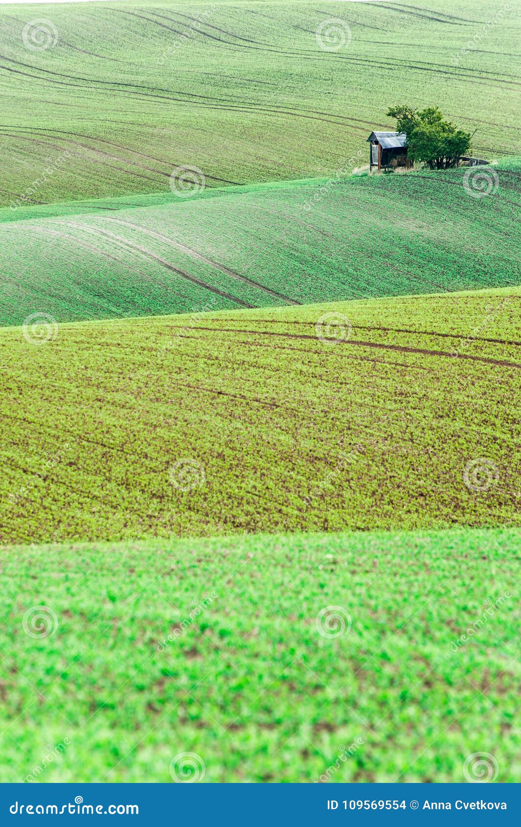 Background/pattern with Curves of Wavy Rolling Textured Rural Fields ...