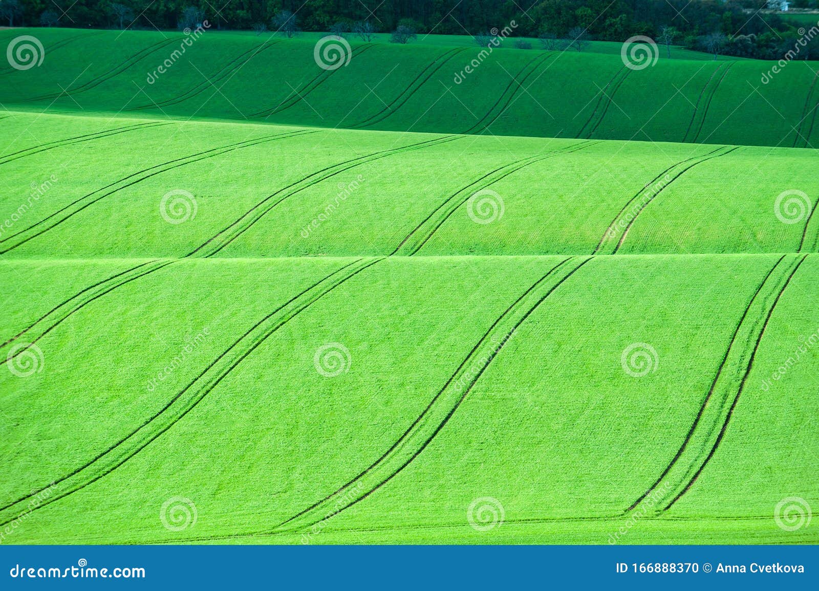 Background/pattern with Curves of Wavy Rolling Textured Rural Fields ...