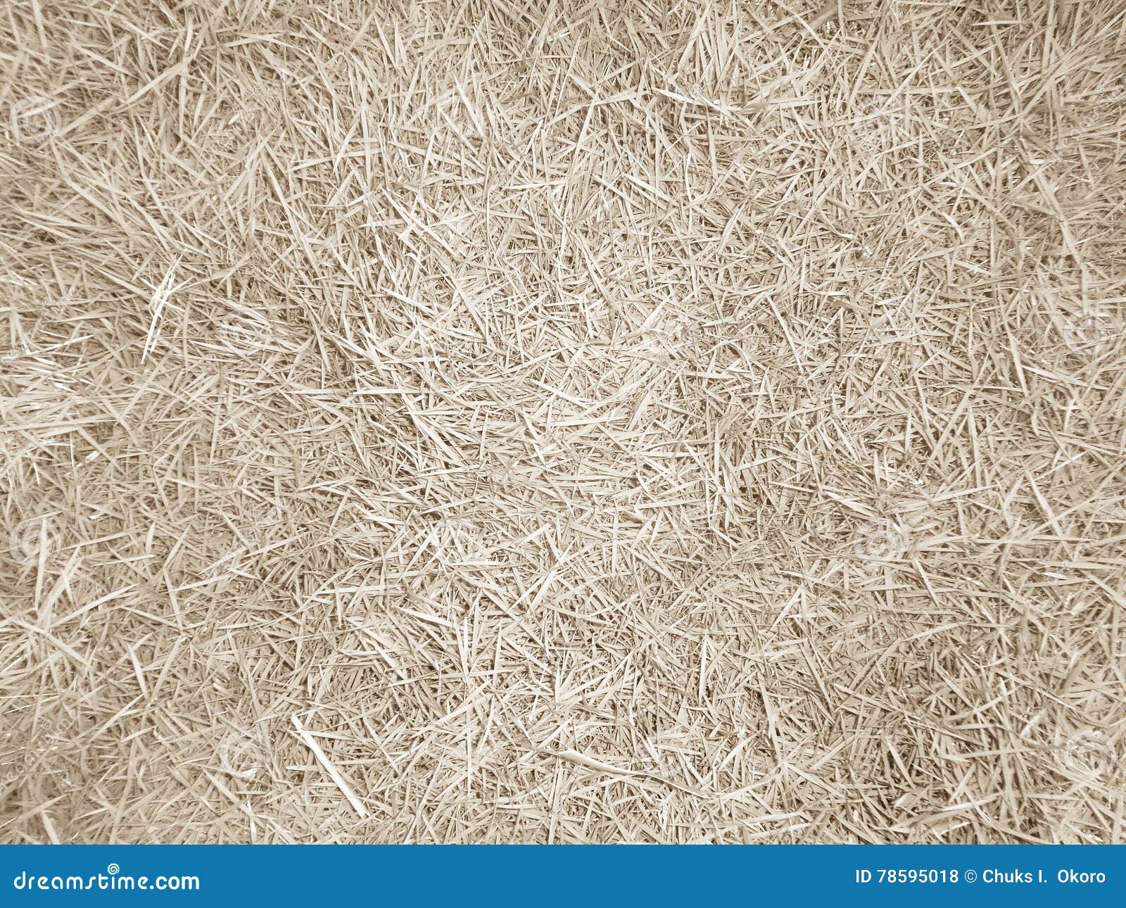 Background Pattern of Dead Grass Stock Photo - Image of bars, cooking ...