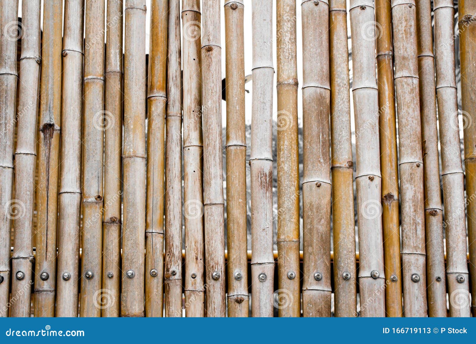 Background bamboo fence stock image. Image of closeup - 166719113