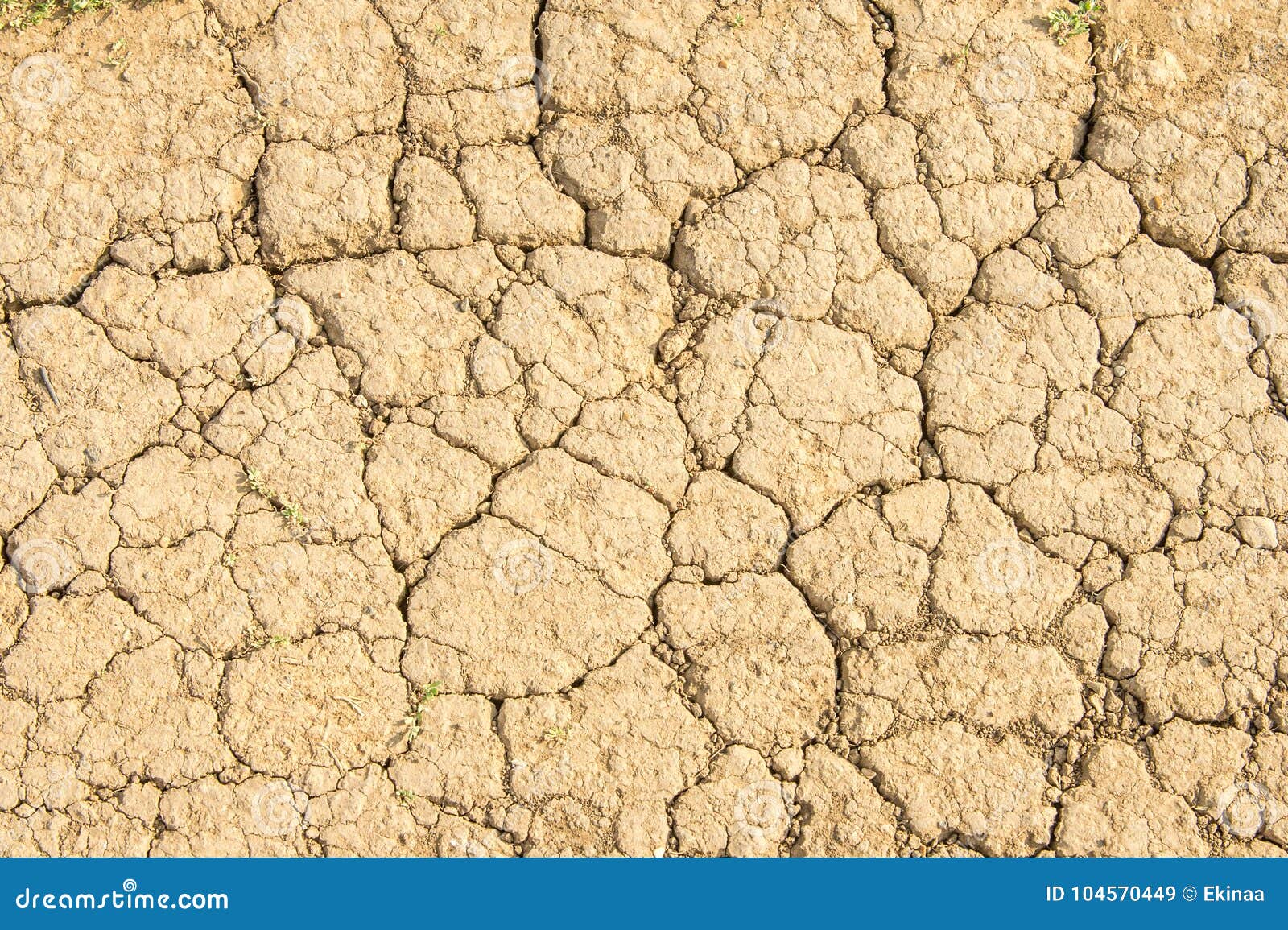 Background, Pattern, Texture. a Dirt Road, a Clay Rolled Up by B Stock ...