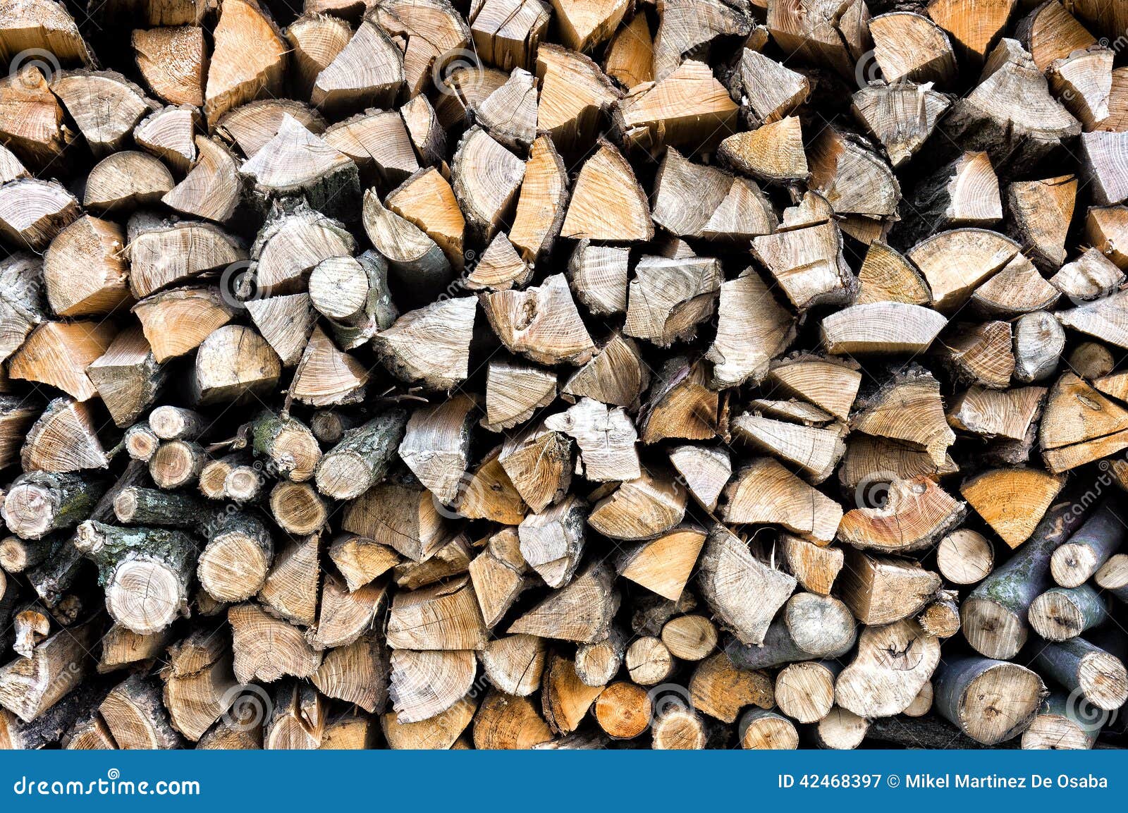 A Few Tree Logs Left Behind To Start Regrowth Of Forest Ground Plants ...