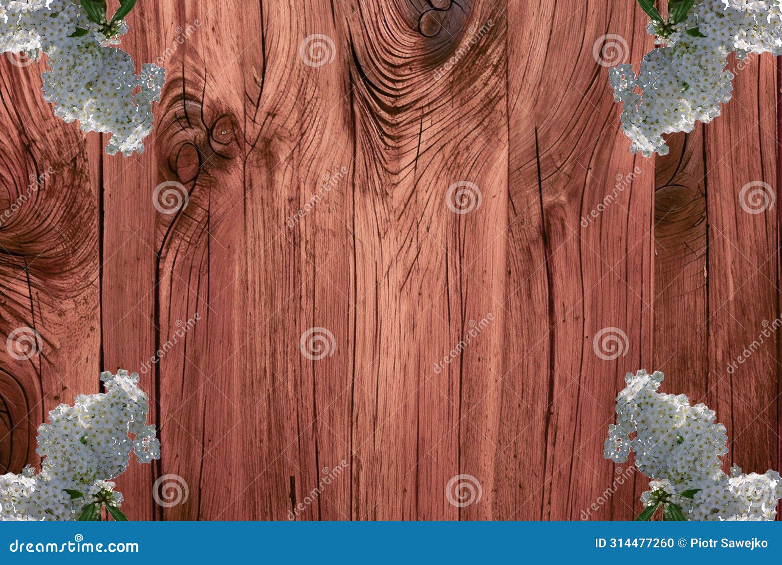 Background, Pattern, White, Flowers, Plants, Spring, Nature, Flo Stock ...