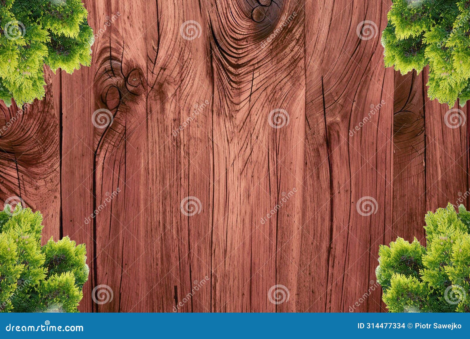 Background, Pattern, White, Flowers, Plants, Spring, Nature, Flo Stock ...