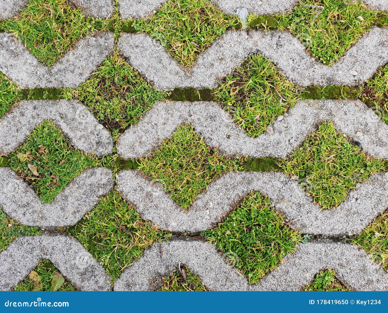 Background Pavement with Grass. Stock Photo - Image of path, pavement ...