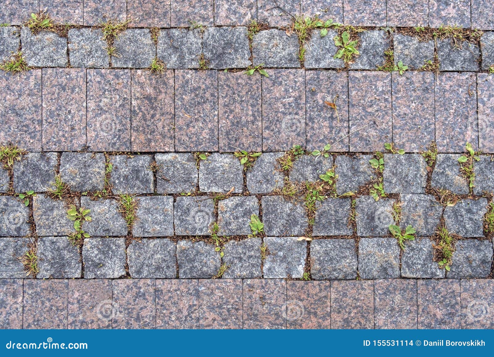 Background, Pavement Paved with Tiles of Two Colors with Grass between ...