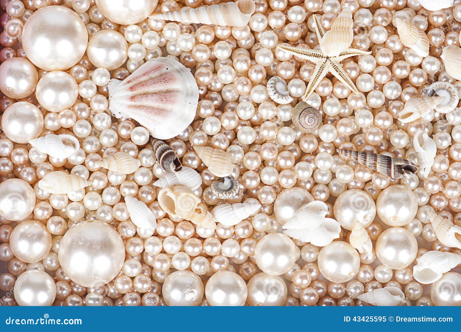 The Background Of Pearls And Marsih Shells Stock Image | CartoonDealer ...